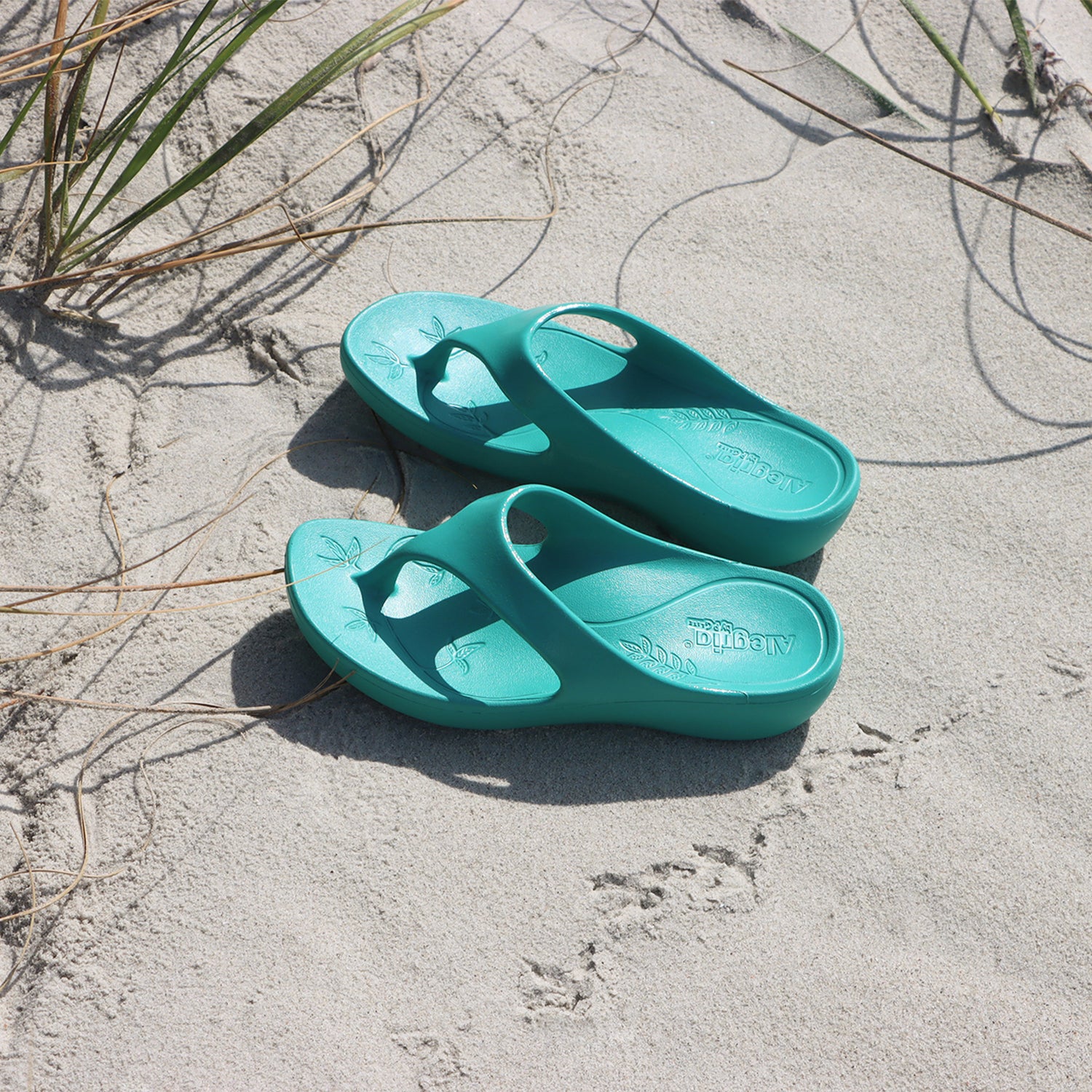 RecoverMe™ – Alegria Australia